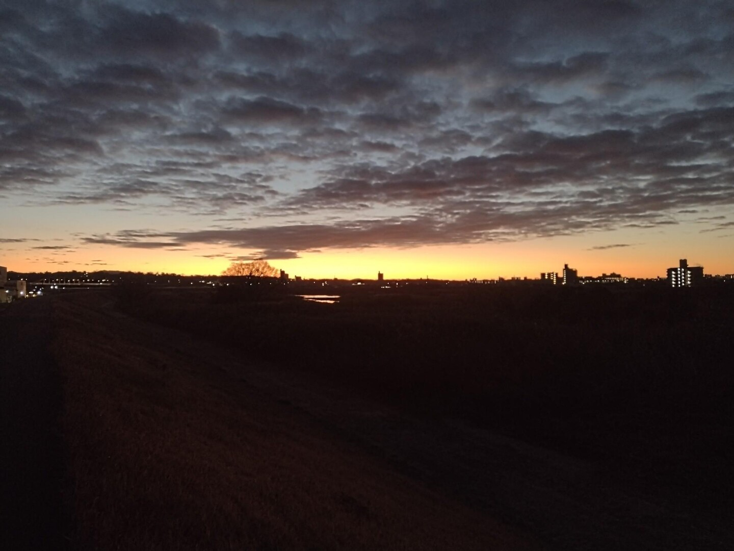 おはようございます☀ 今朝もとても綺麗な... / sin-yaさんのモーメント | YAMAP / ヤマップ