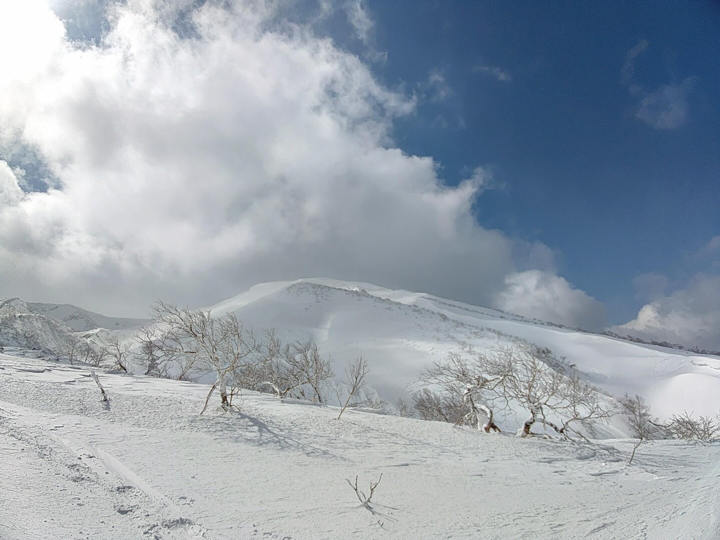 2024_03_16_秋田駒ヶ岳・男女岳（8合目）・（BCスキー） / bakkyさんの秋田駒ヶ岳・男女岳・貝吹岳の活動データ | YAMAP / ヤマップ