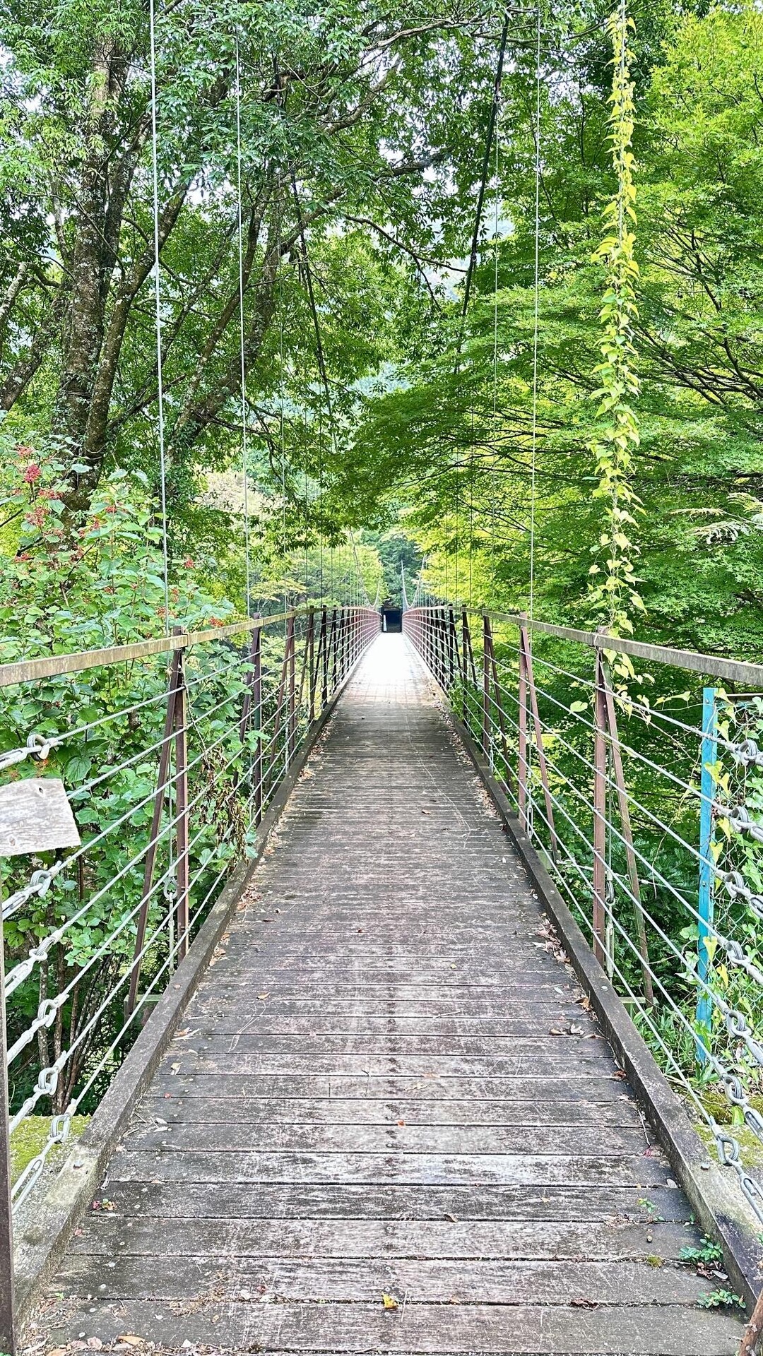 大室山 / yamalamaさんの大室山・畦ヶ丸山・菰釣山の活動データ | YAMAP / ヤマップ