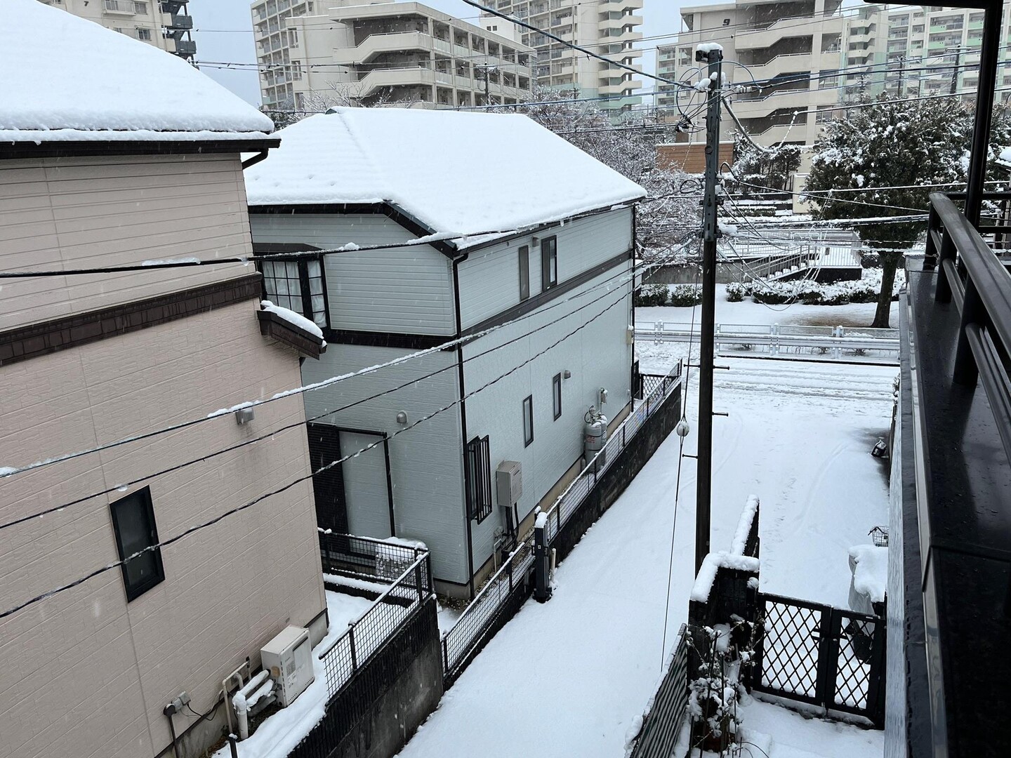 23.02.10 東京都八王子市 雪積も... / TAKKUNさんのモーメント | YAMAP / ヤマップ