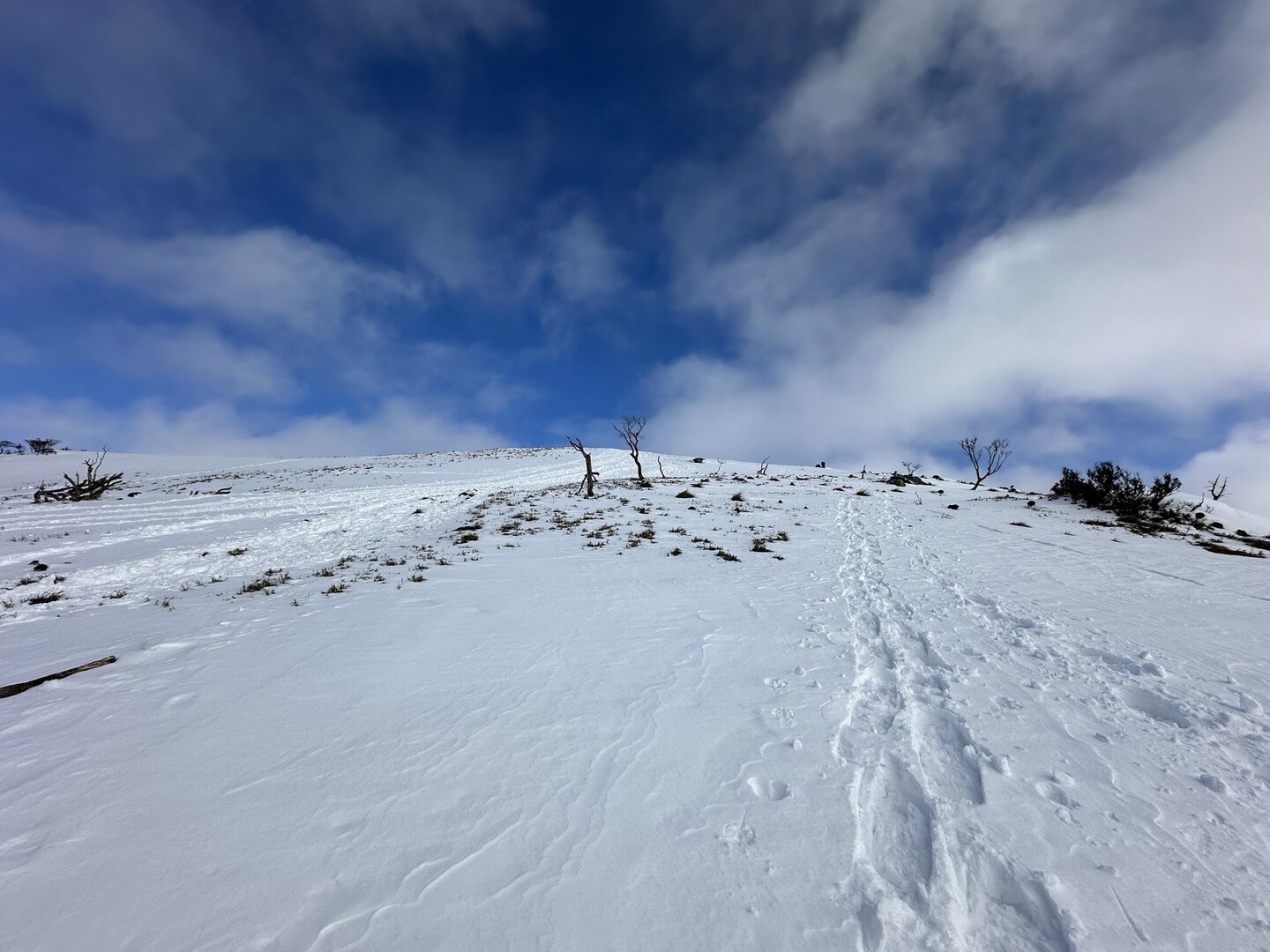 比良山系 権現山〜ホッケ山〜蓬莱山 / sho_hei5000さんの比良山地・武奈ヶ岳・釈迦岳の活動データ | YAMAP / ヤマップ