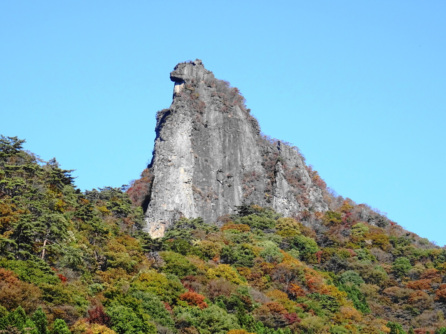 子持山 / nm25さんの子持山の活動データ | YAMAP / ヤマップ