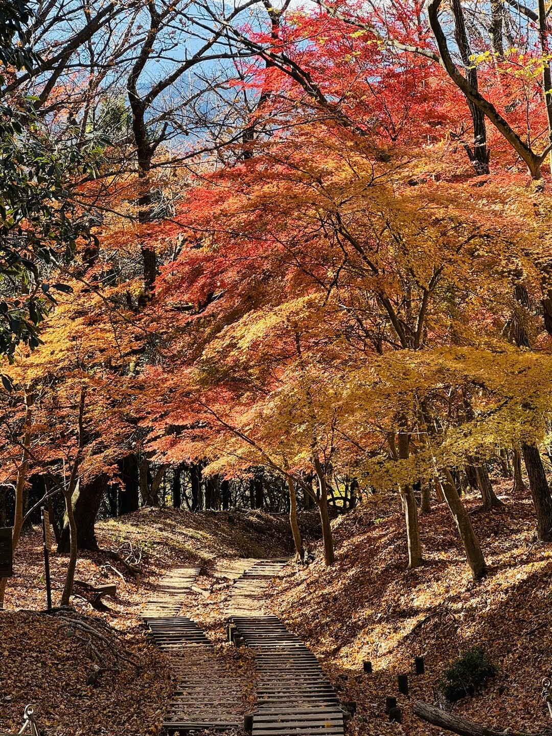 堀山・塔ノ岳 / Annさんの塔ノ岳・丹沢山・蛭ヶ岳の活動データ | YAMAP / ヤマップ