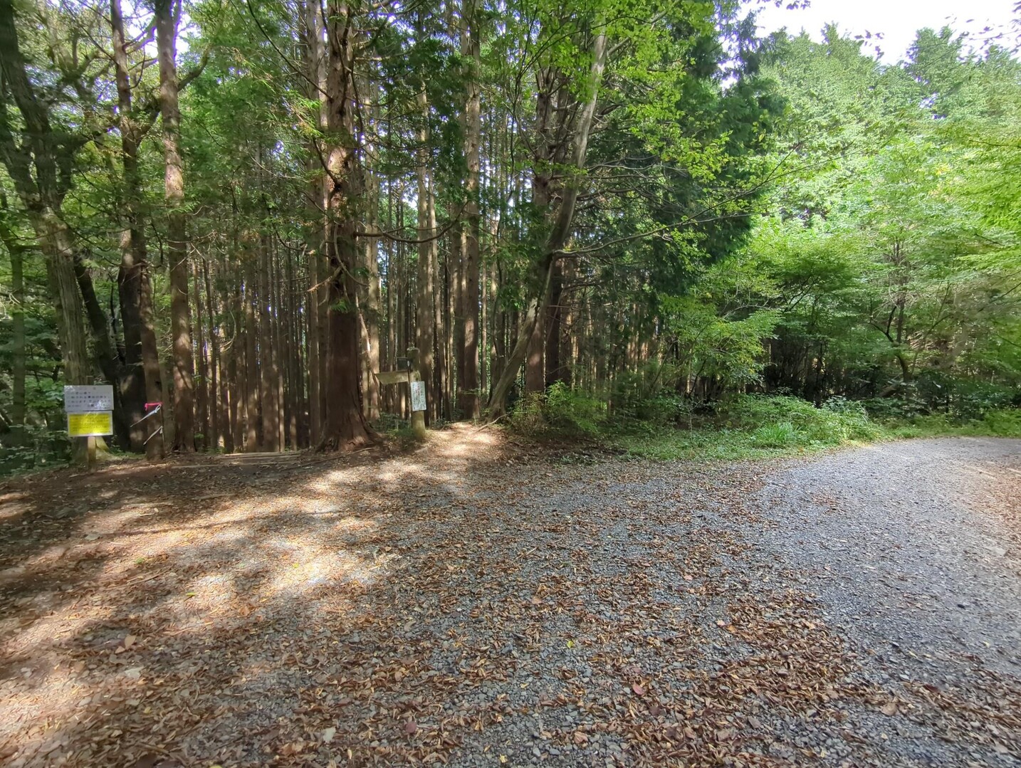 Stevenさんの投稿したフィールドメモ | YAMAP / ヤマップ