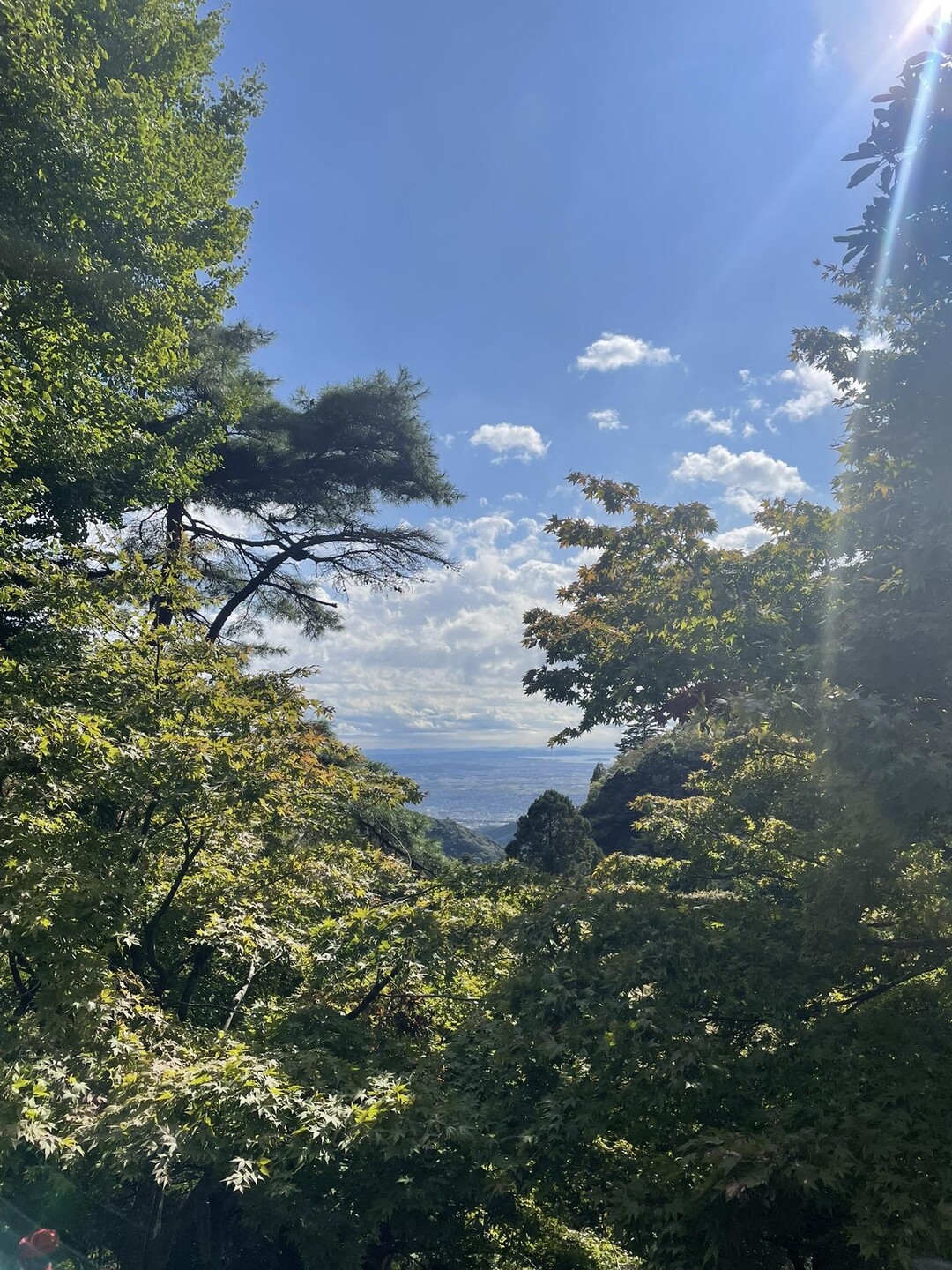 大山 / nanaさんの大山の活動データ | YAMAP / ヤマップ