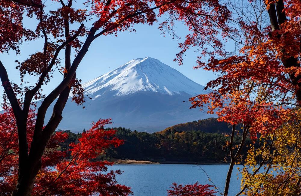 少し前ですが、雪をかぶった富士山＋紅葉の... / Kei2022さんのモーメント | YAMAP / ヤマップ