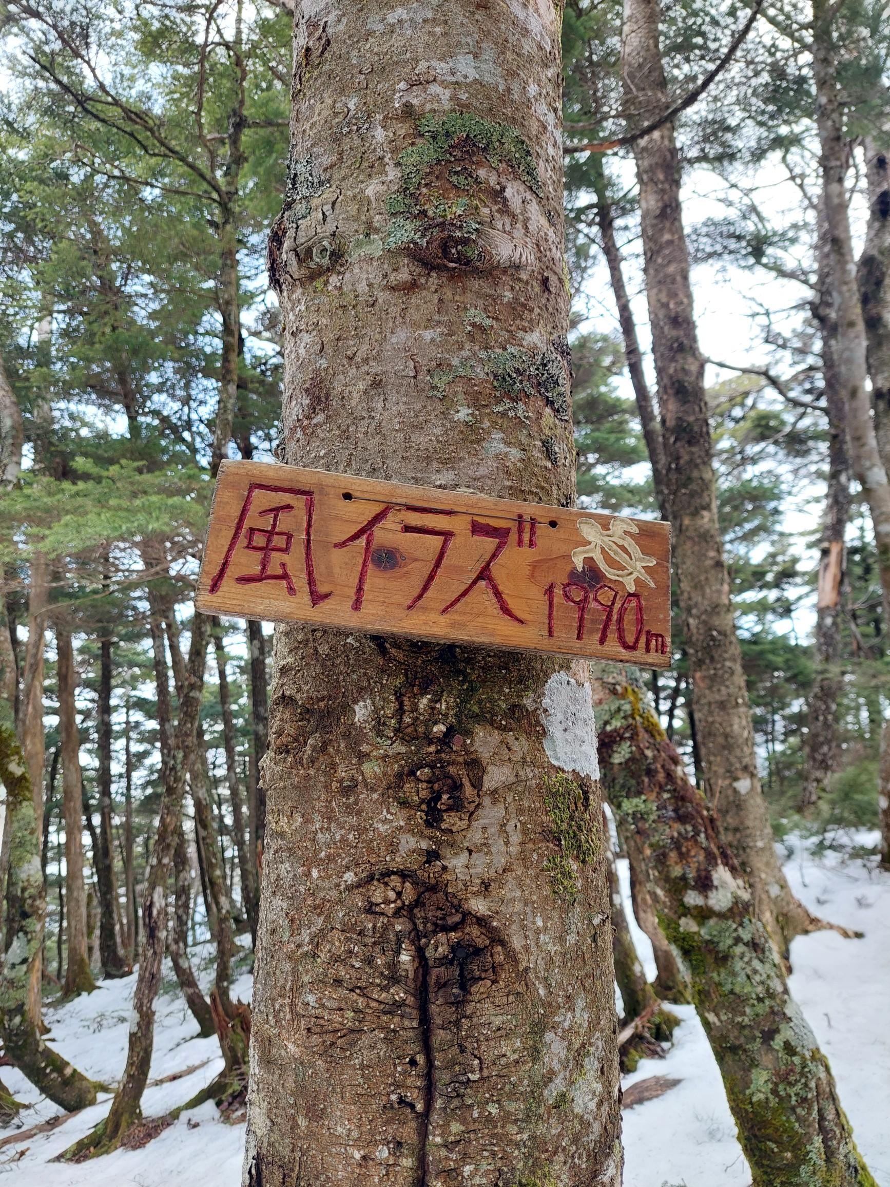 風イラズ / etsukoさんの風イラズの活動データ | YAMAP / ヤマップ