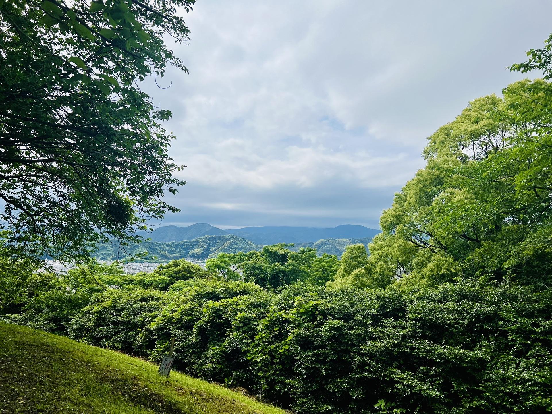 谷津山 / ryunosukeさんの谷津山の活動データ | YAMAP / ヤマップ