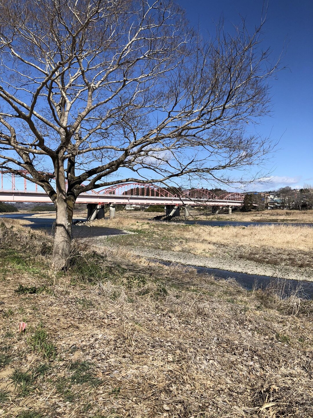 白山・赤沢富士・井殿山・御前山 / MOCCOさんの御前山の活動データ | YAMAP / ヤマップ