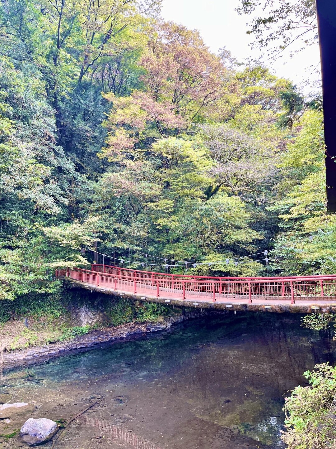 第21回 アラkan 熊本女子部 菊池渓谷＆なかむらのランチ😋🍴💕 / みっきーさんの菊池市の活動データ | YAMAP / ヤマップ