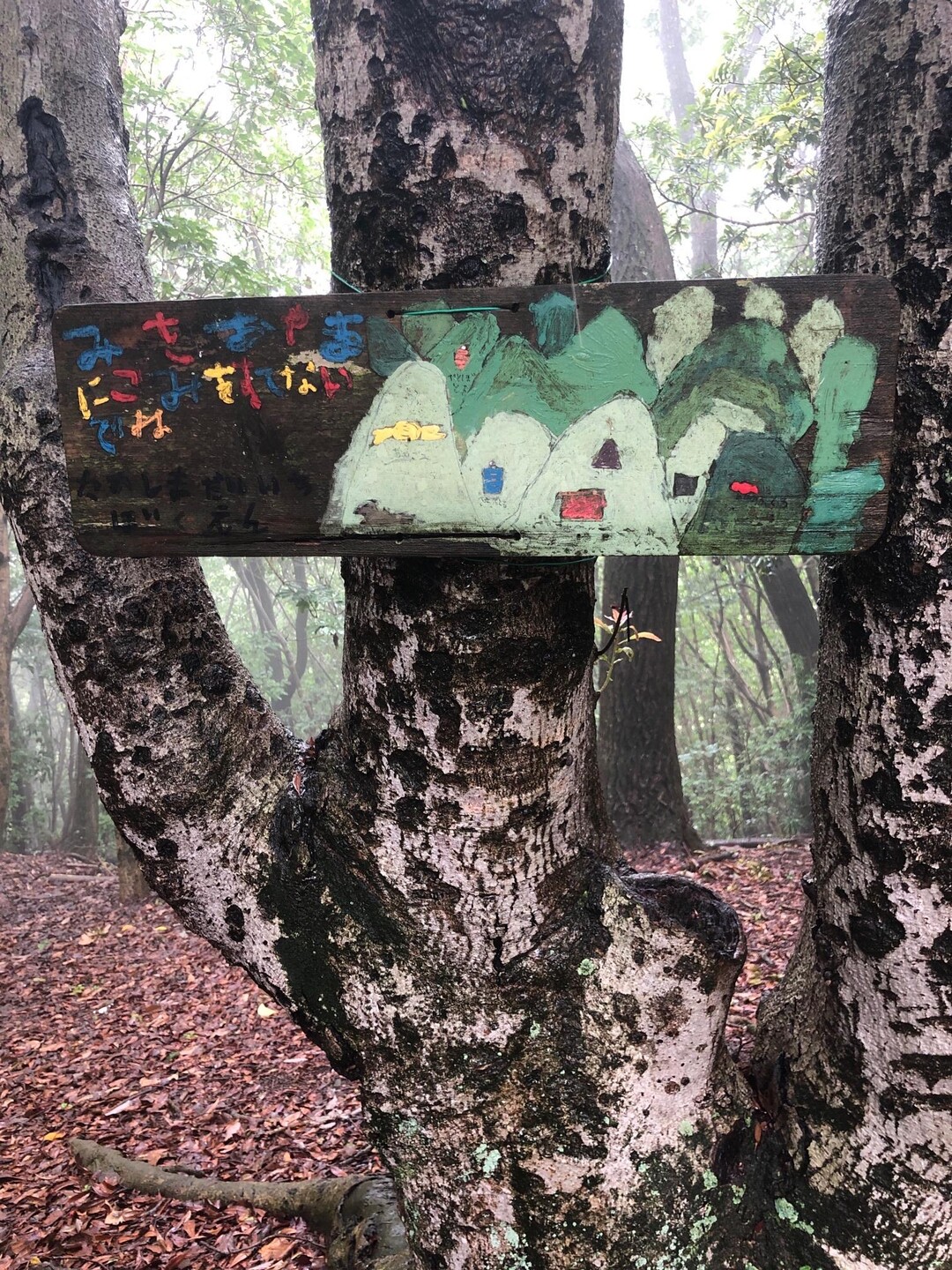 操山・円山・笠井山 / MICさんの操山・笠井山の活動データ | YAMAP / ヤマップ