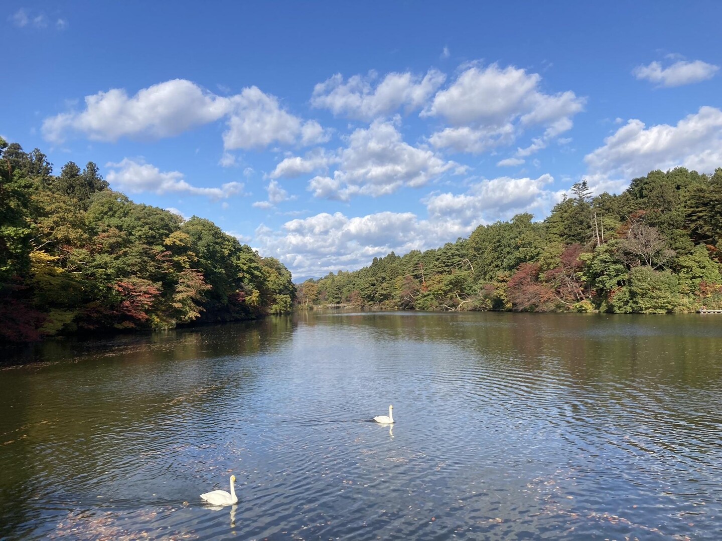 おはようございます^ ^ 今朝は風も穏... / OBsunさんのモーメント | YAMAP / ヤマップ