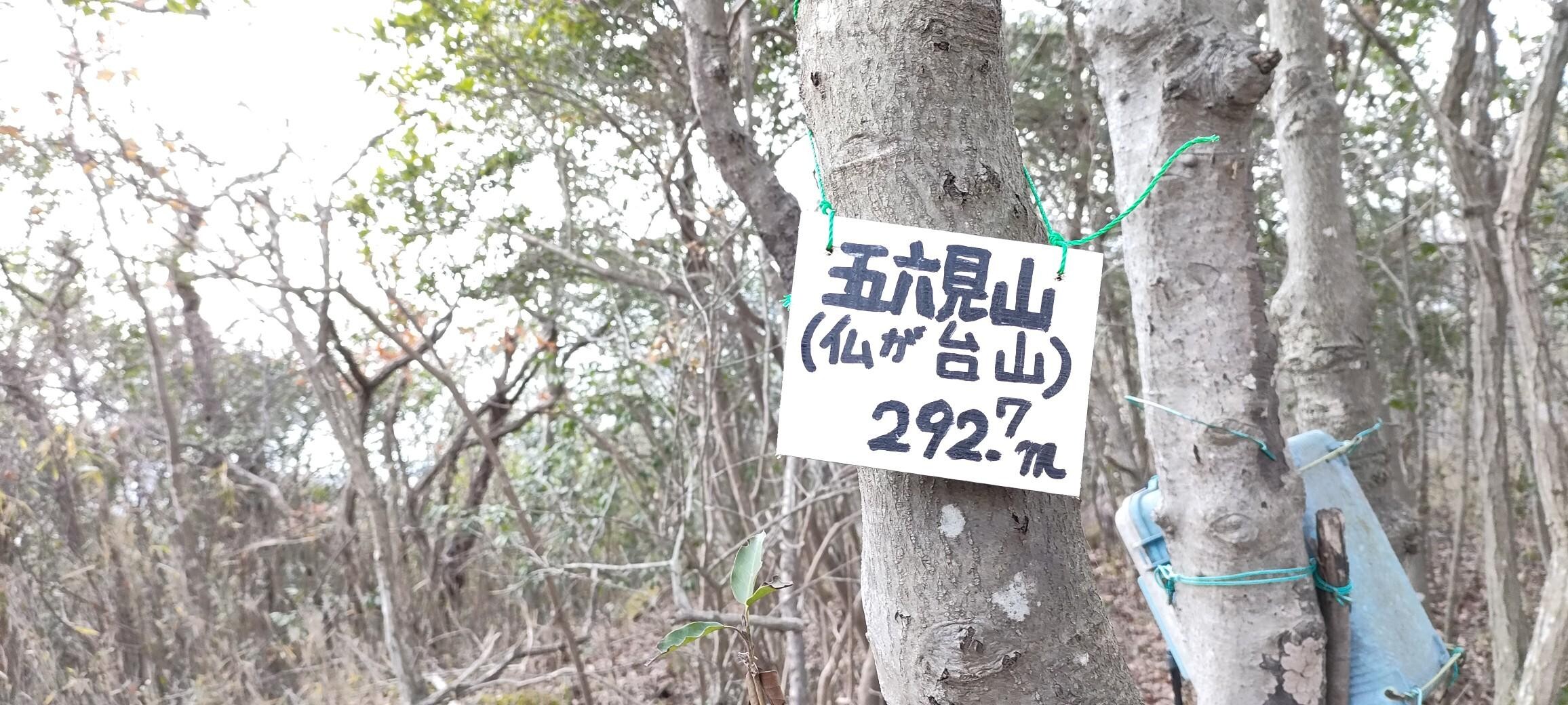 五六見山20230101 / のりさんの天下台山・嫦峨山の活動データ | YAMAP / ヤマップ