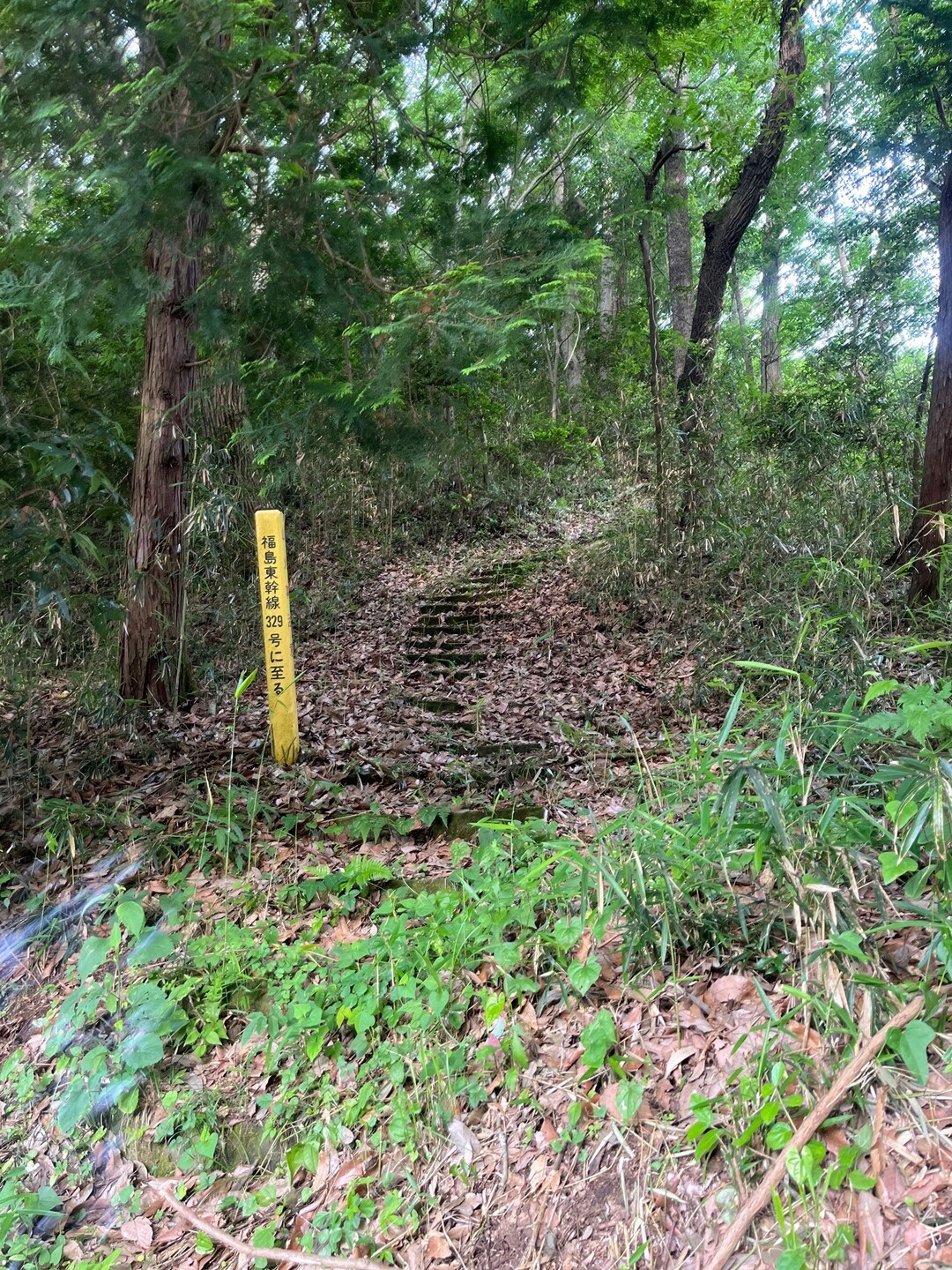 samさんの投稿したフィールドメモ | YAMAP / ヤマップ