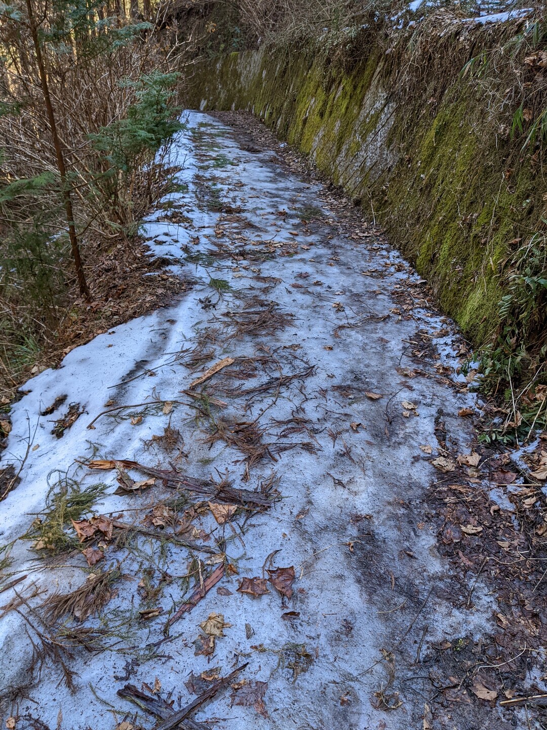 Okamonさんの投稿したフィールドメモ | YAMAP / ヤマップ