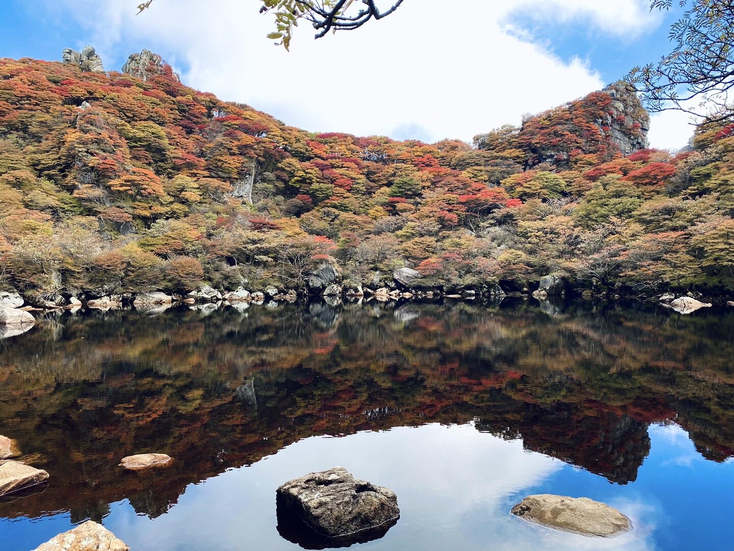 大船山 / mocoさんの九重山（久住山）・大船山・星生山の活動データ | YAMAP / ヤマップ