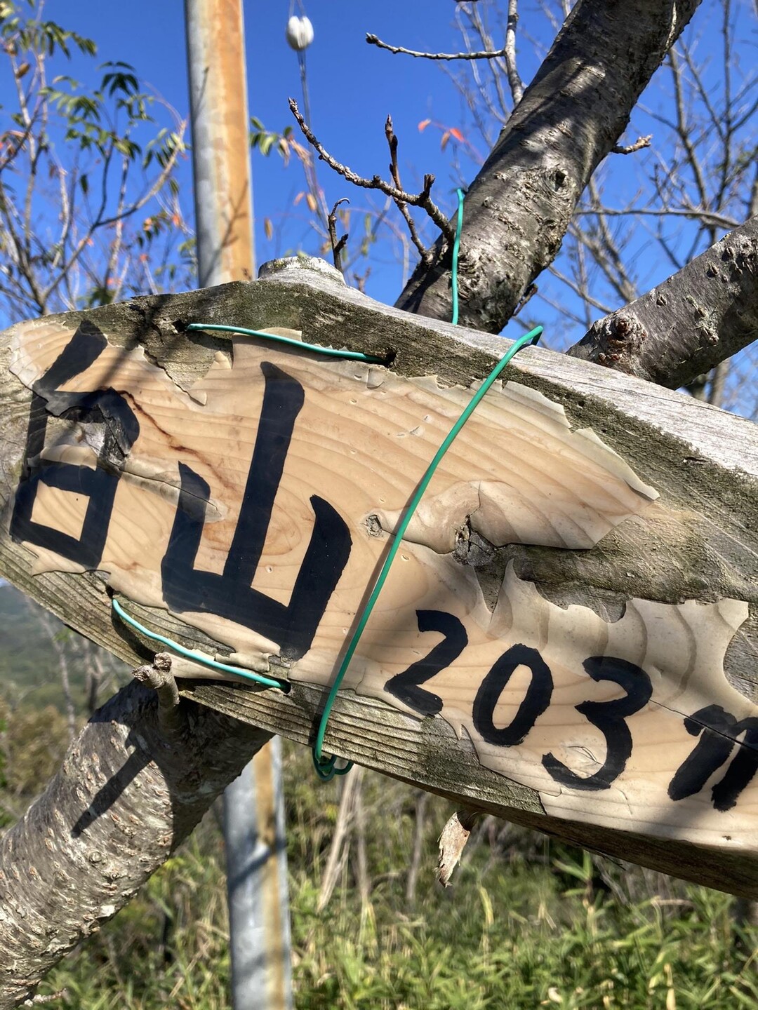 ピチュピチュ白山🐧 / Mりさんの白山の活動データ | YAMAP / ヤマップ