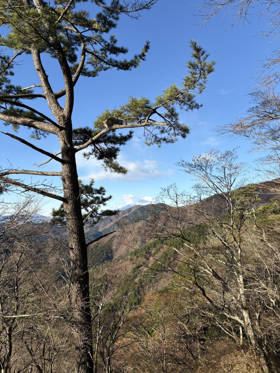 堀山・塔ノ岳・日高・竜ヶ馬場・丹沢山 / Yudaiさんの塔ノ岳・丹沢山・蛭ヶ岳の活動データ | YAMAP / ヤマップ