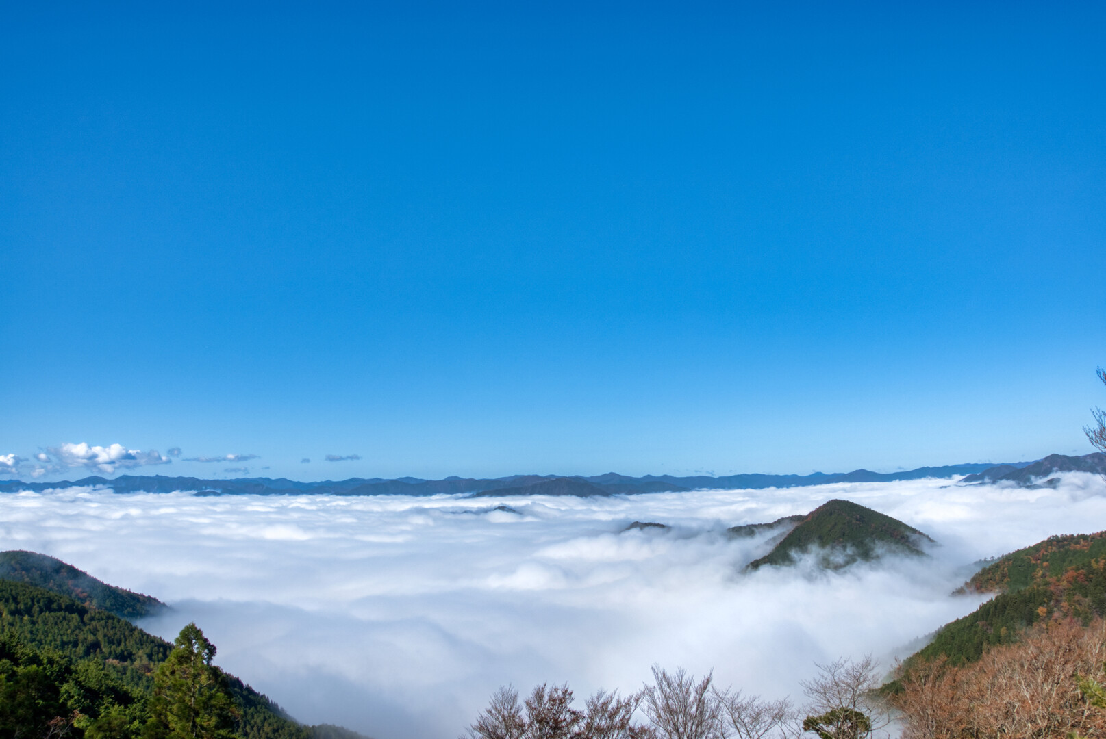 誰かに呼ばれたとしか思えない一日（谷瀬の吊り橋、玉置山、瀞峡） / persさんの玉置山の活動日記 | YAMAP / ヤマップ
