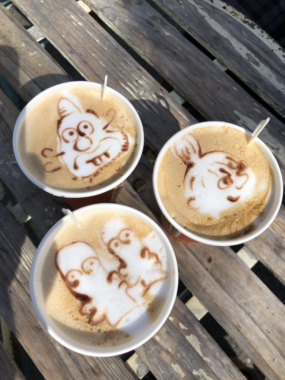 toruのページ | YAMAP / ヤマップ