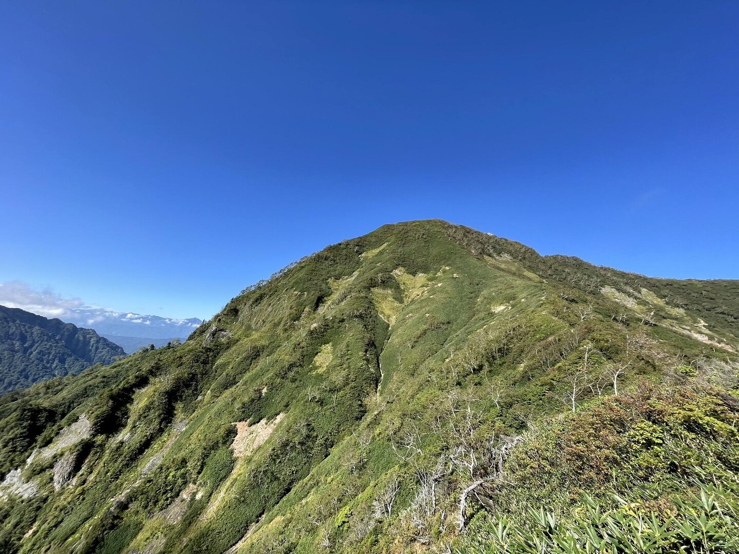 高妻山 / zumiさんの高妻山・戸隠山の活動データ | YAMAP / ヤマップ