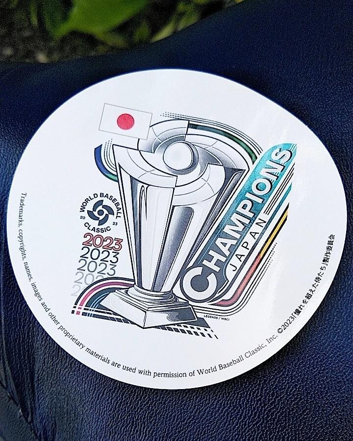 憧れるのをやめましょう https:/... / もみじ🐺パパ😎さんのモーメント | YAMAP / ヤマップ