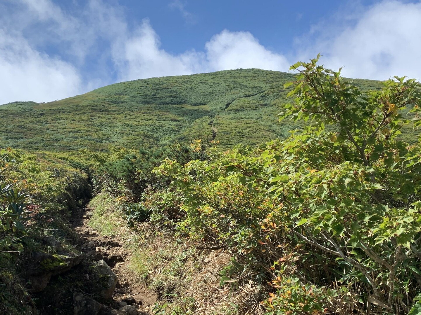 R5.9.18 栗駒山(須川岳)・秣岳 / あおかつさんの栗駒山（須川岳）・秣岳・虚空蔵山の活動データ | YAMAP / ヤマップ
