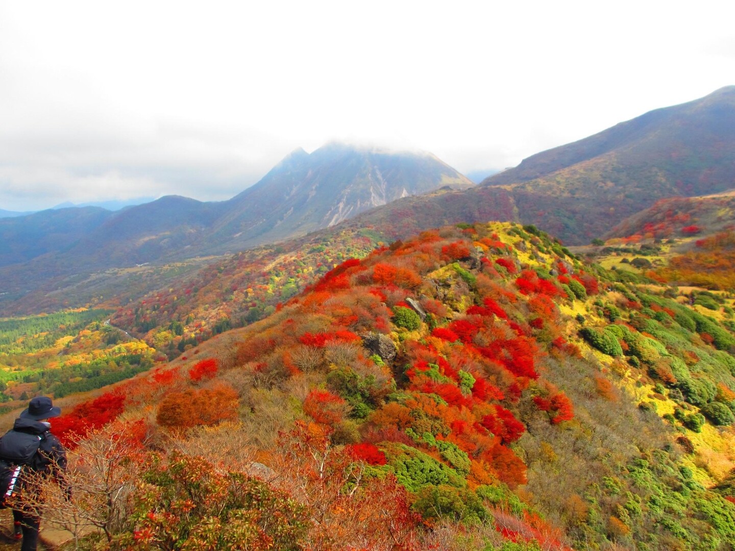 憧れのくじゅうで紅葉のじゅうたんをみたい🍁 / しほさんの登山の活動データ | YAMAP / ヤマップ