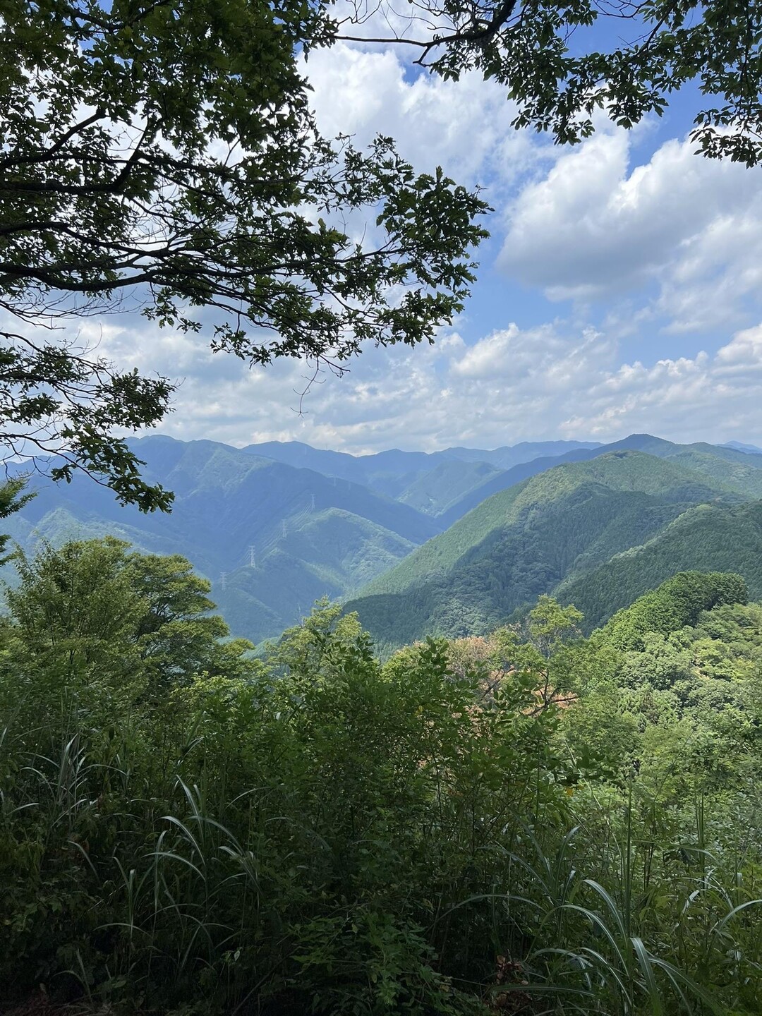 高水山・岩茸石山🥵 / tea003さんの高水山・岩茸石山・惣岳山の活動データ | YAMAP / ヤマップ