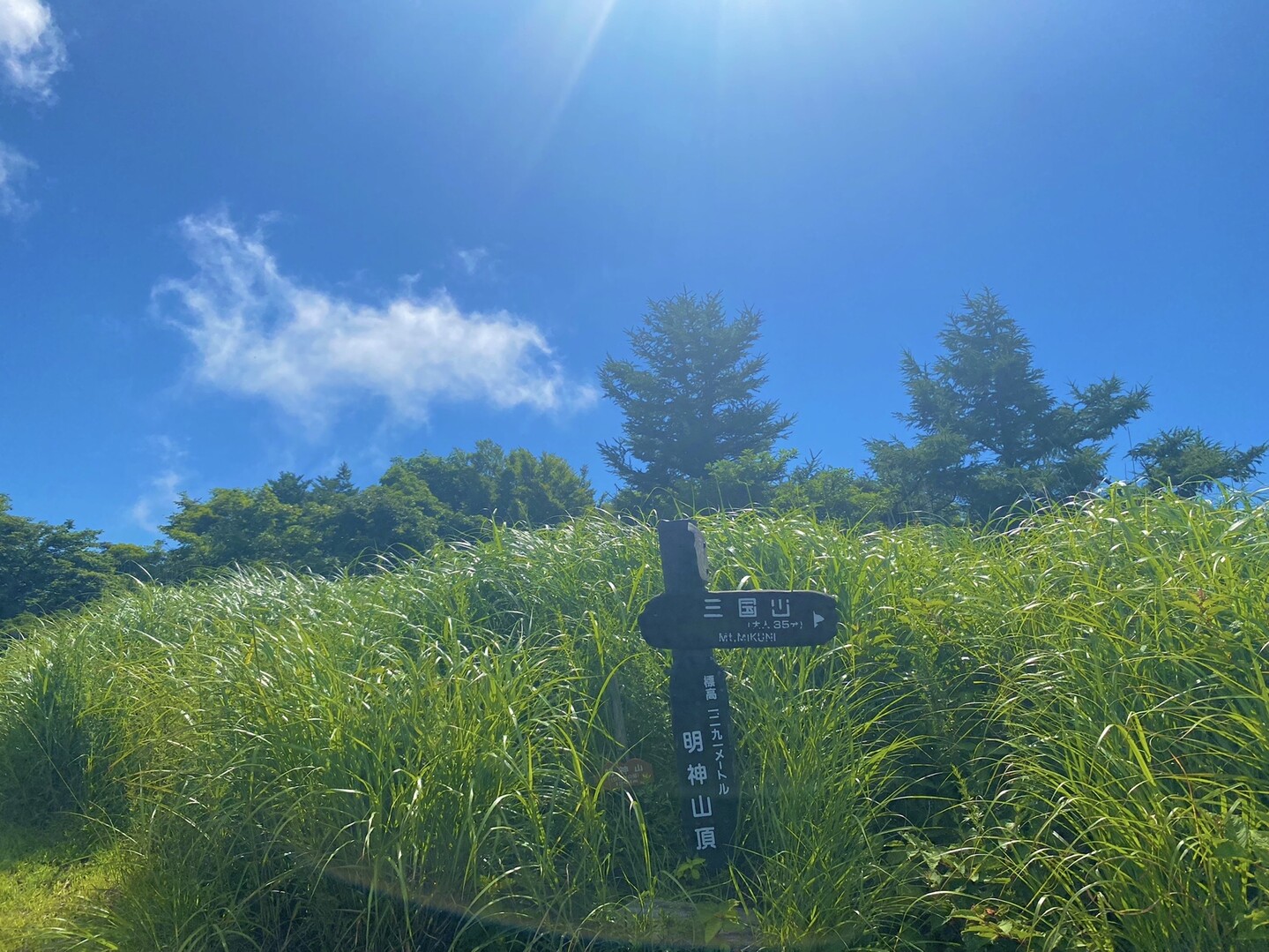 鉄砲木ノ頭⛰ 三国山⛰ 2022.07.... / まいさんのモーメント | YAMAP / ヤマップ