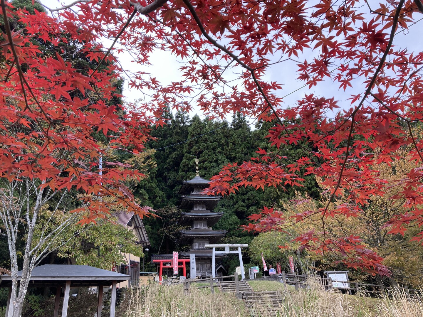 国上山 / hi-chanさんの弥彦山・多宝山・雨乞山の活動データ | YAMAP / ヤマップ