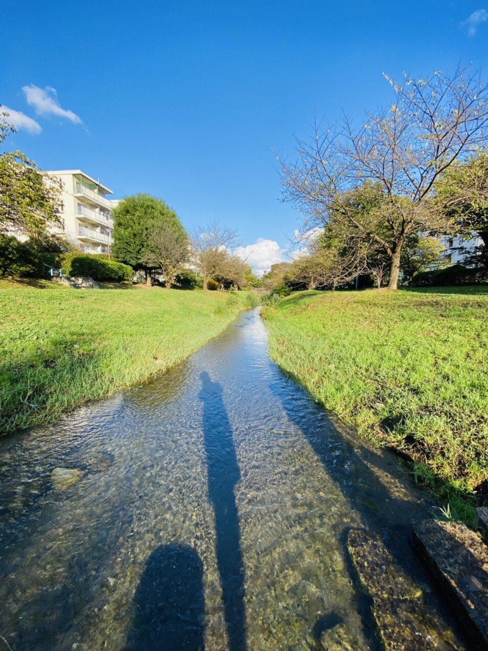 落合川を下り黒目川との合流点からの源流小... / Mijyaさんのモーメント | YAMAP / ヤマップ