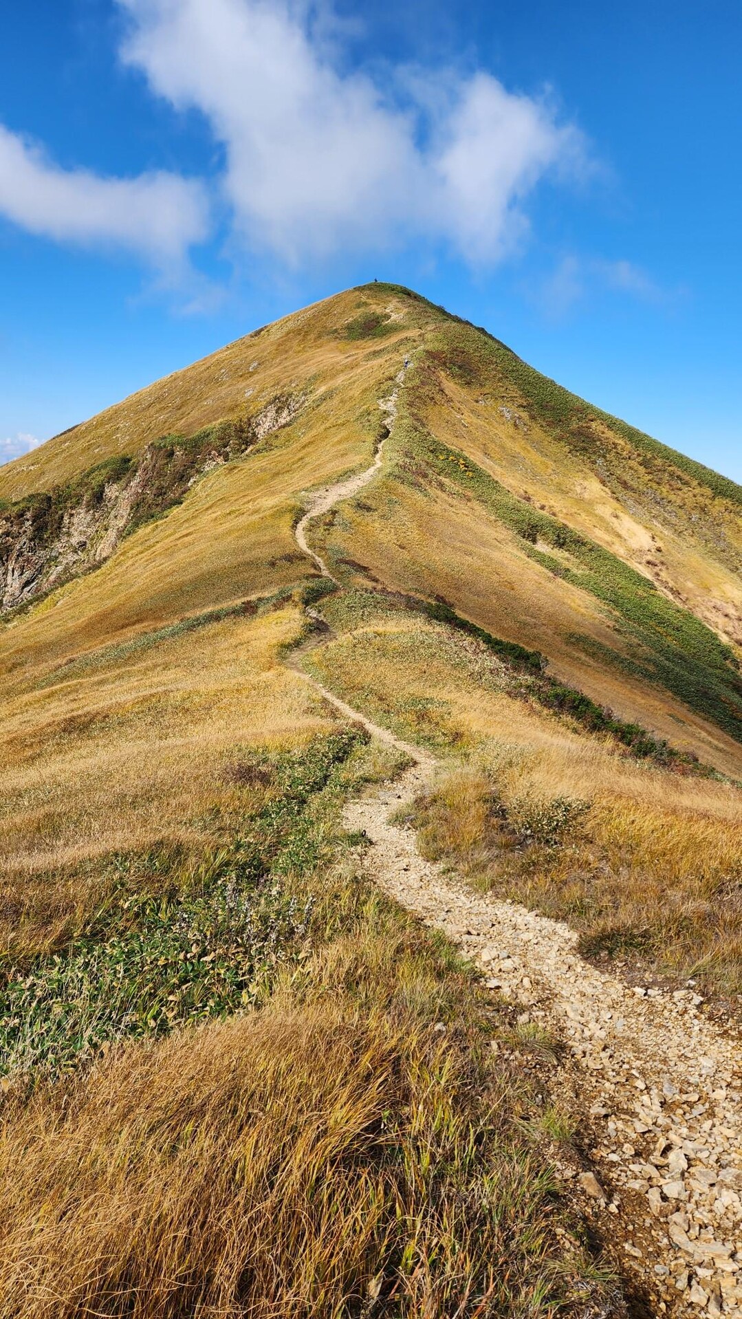 草紅葉見に日本百名山のマッキー『巻機山・割引岳』 / tamuさんの巻機山・割引岳・金城山の活動データ | YAMAP / ヤマップ