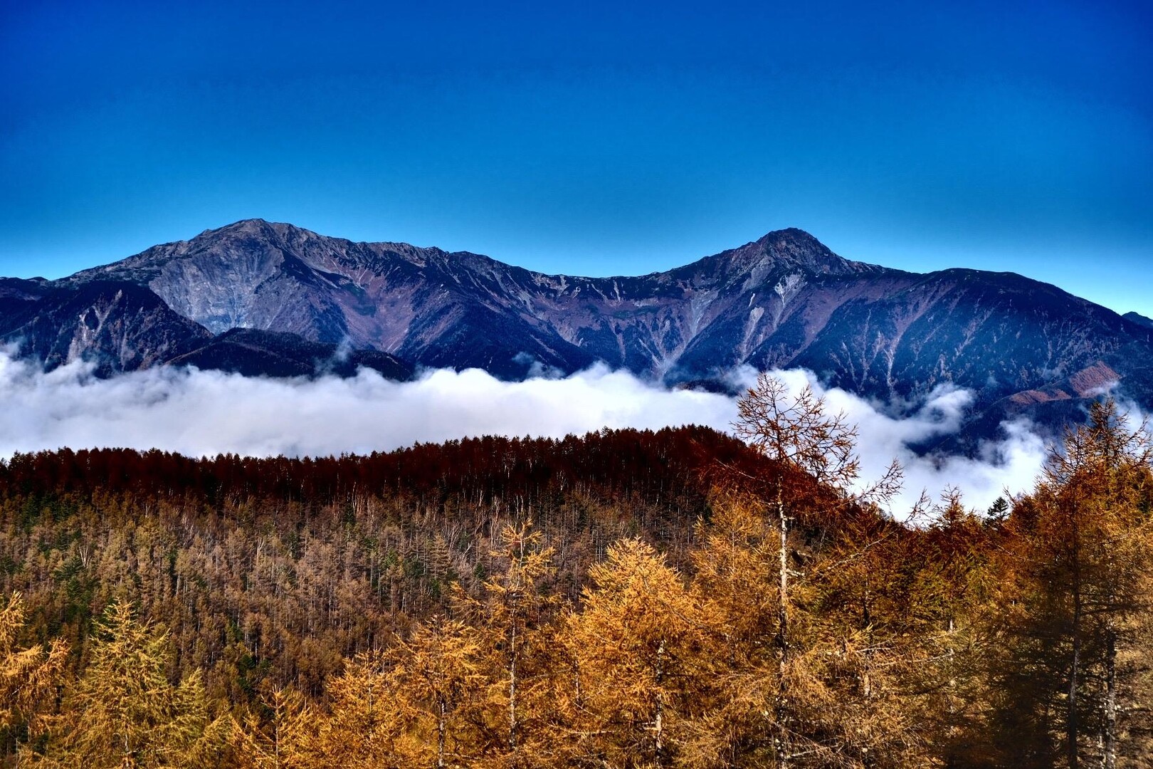 櫛形山 雨上がりの雲海 / pi_ro_shikiさんの櫛形山・裸山・唐松岳の活動データ | YAMAP / ヤマップ