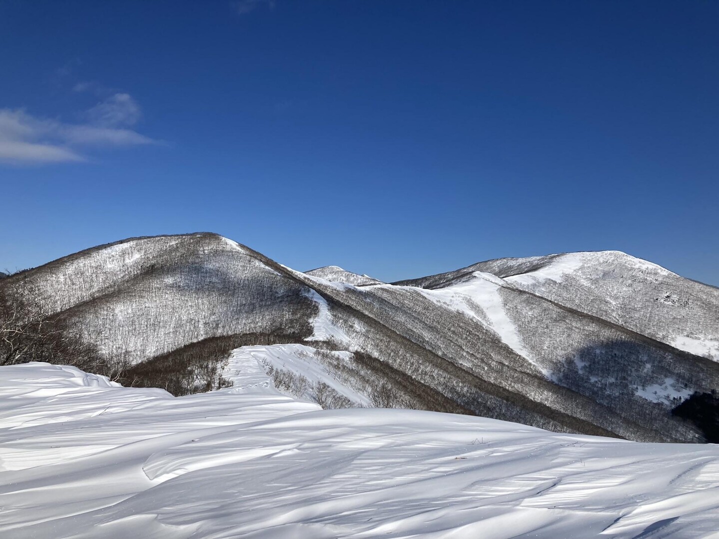 桜山 / macさんの佐幌岳の活動データ | YAMAP / ヤマップ