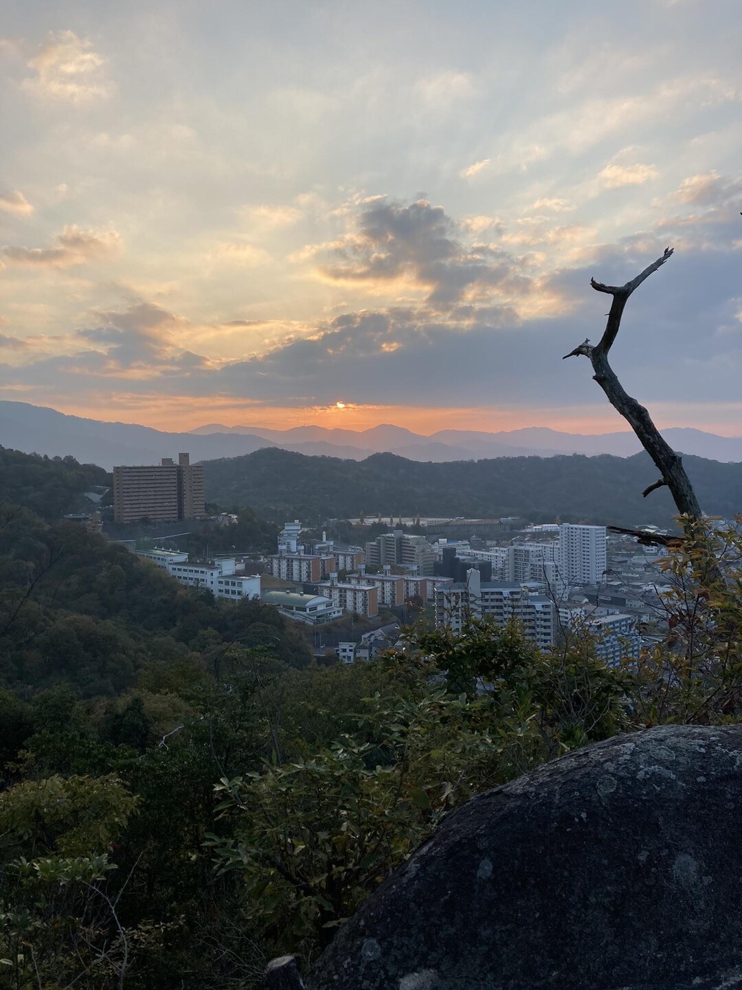 牛田山・神田山・見立山 / cbmdさんの牛田山・尾長山・二葉山の活動データ | YAMAP / ヤマップ