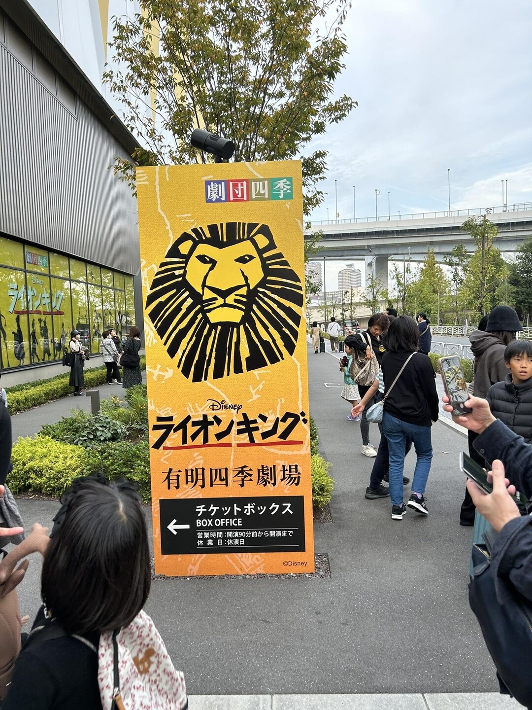 ライオンキング日本上演25周年 ️ 4列... / minirollさんのモーメント | YAMAP / ヤマップ