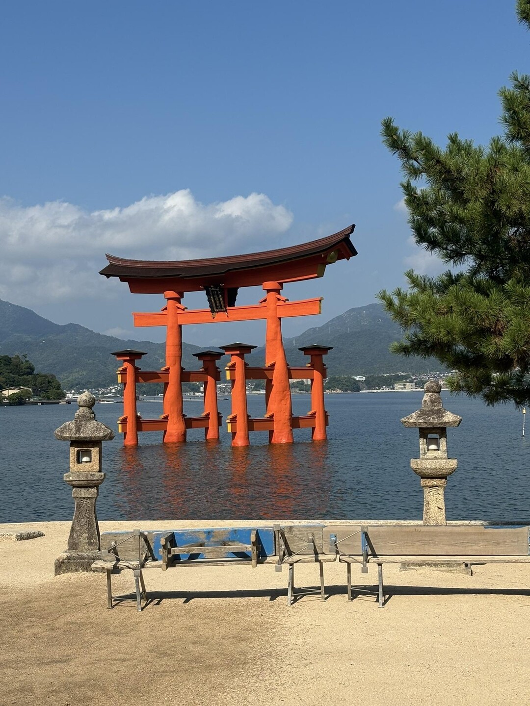 要害山・三剣山・駒ヶ林・弥山 / sengokuさんの宮島（厳島）・弥山の活動データ | YAMAP / ヤマップ