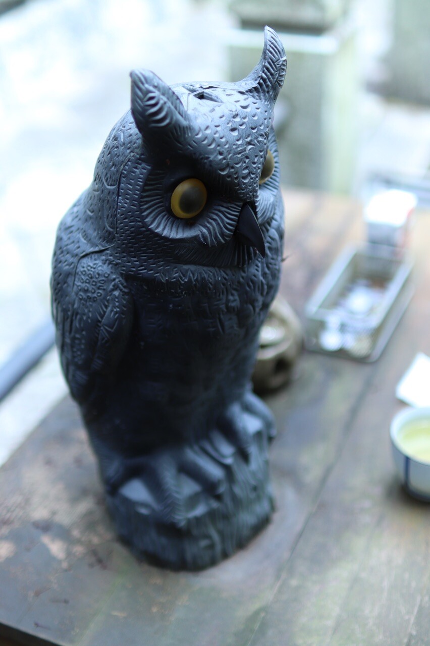 SHOTAのページ | YAMAP / ヤマップ