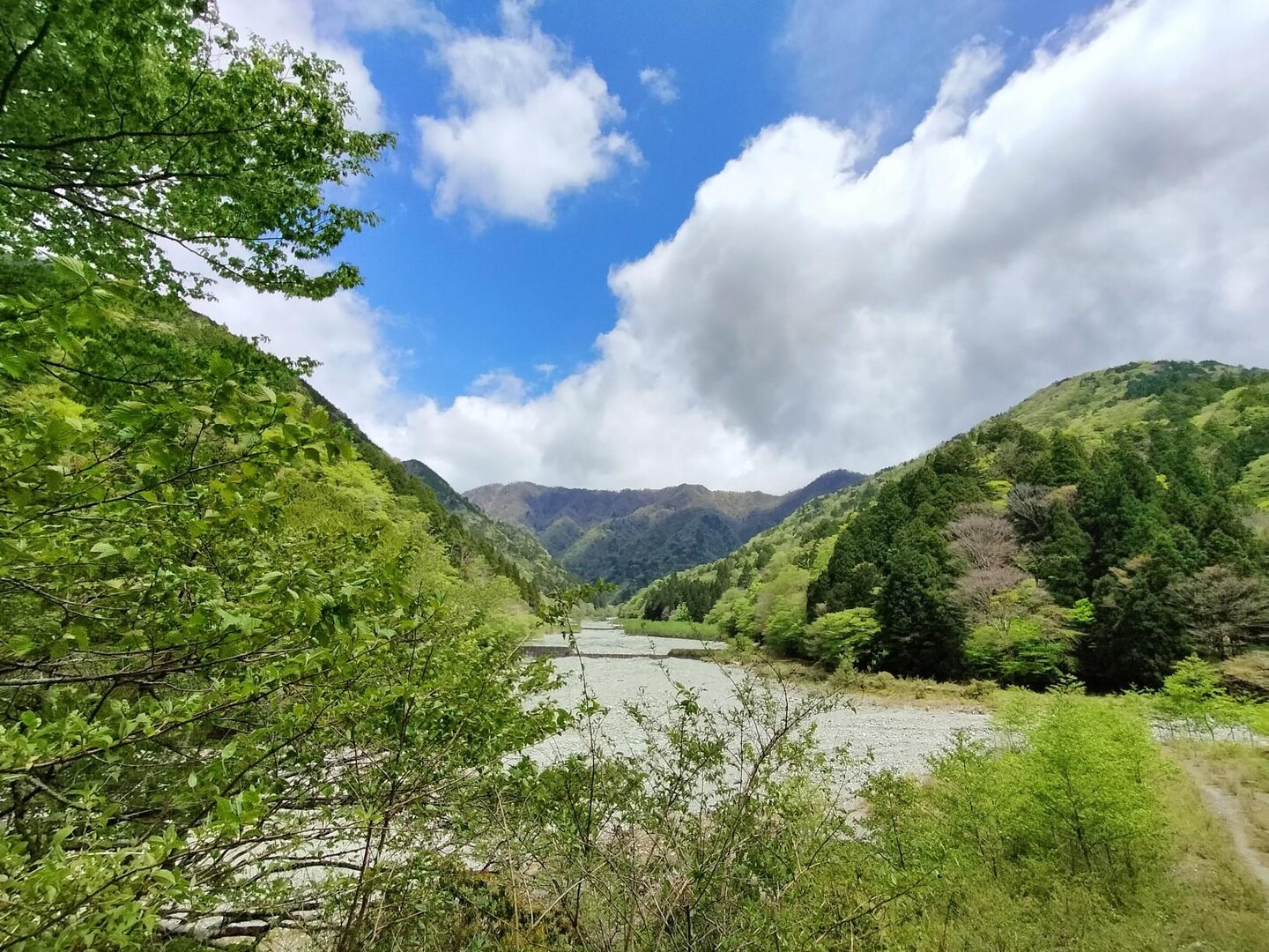 塔ノ岳viaユーシン / 大悟さんの塔ノ岳・丹沢山・蛭ヶ岳の活動データ | YAMAP / ヤマップ