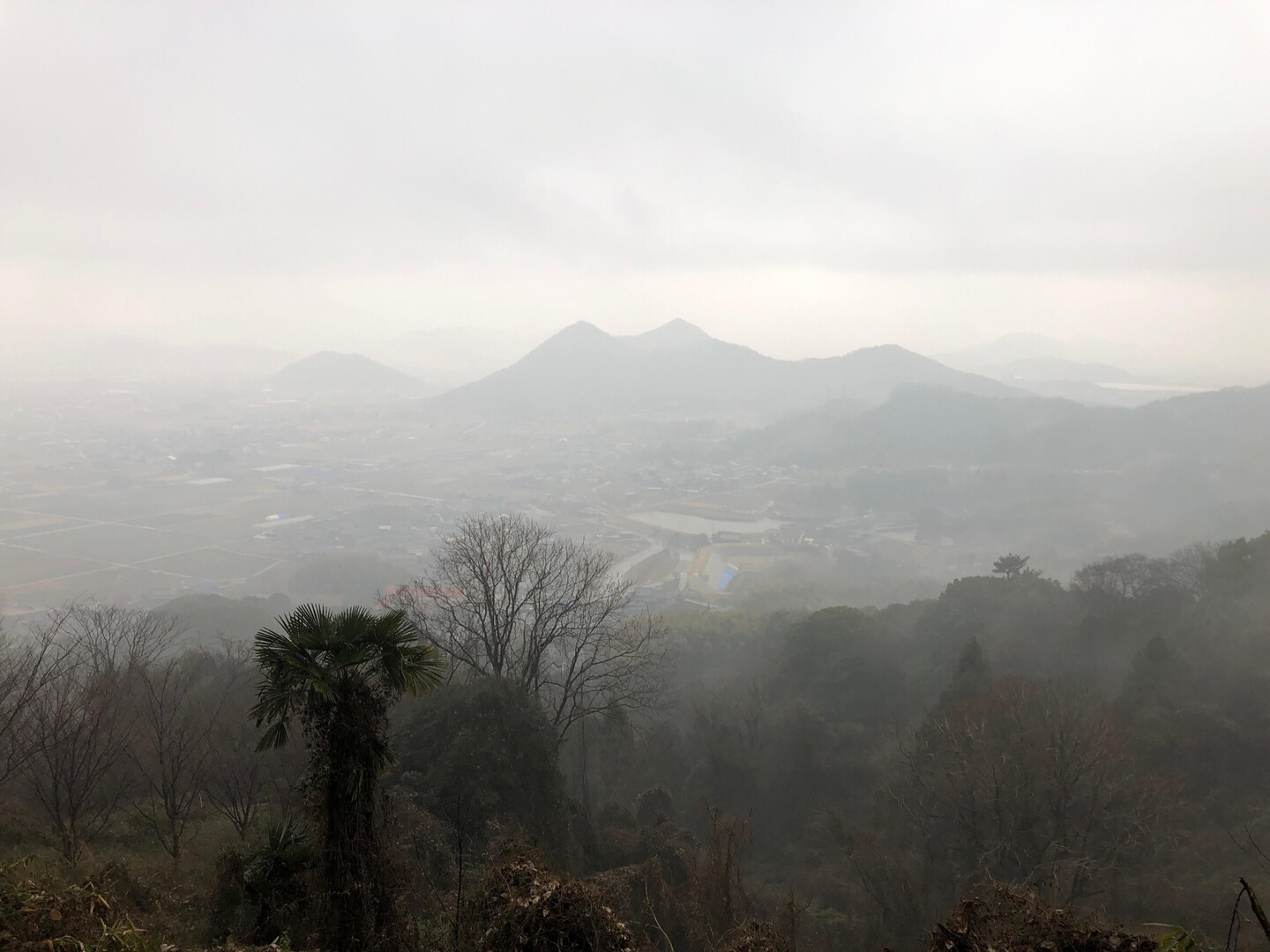 真平山 / mt. sugさんの荘内半島（三崎半島）・粟島の活動データ | YAMAP / ヤマップ