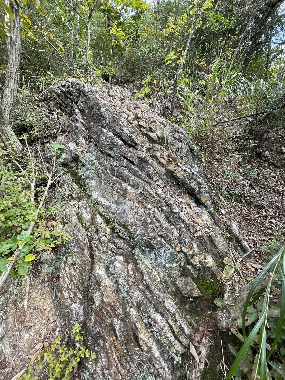 osamさんの投稿したフィールドメモ | YAMAP / ヤマップ