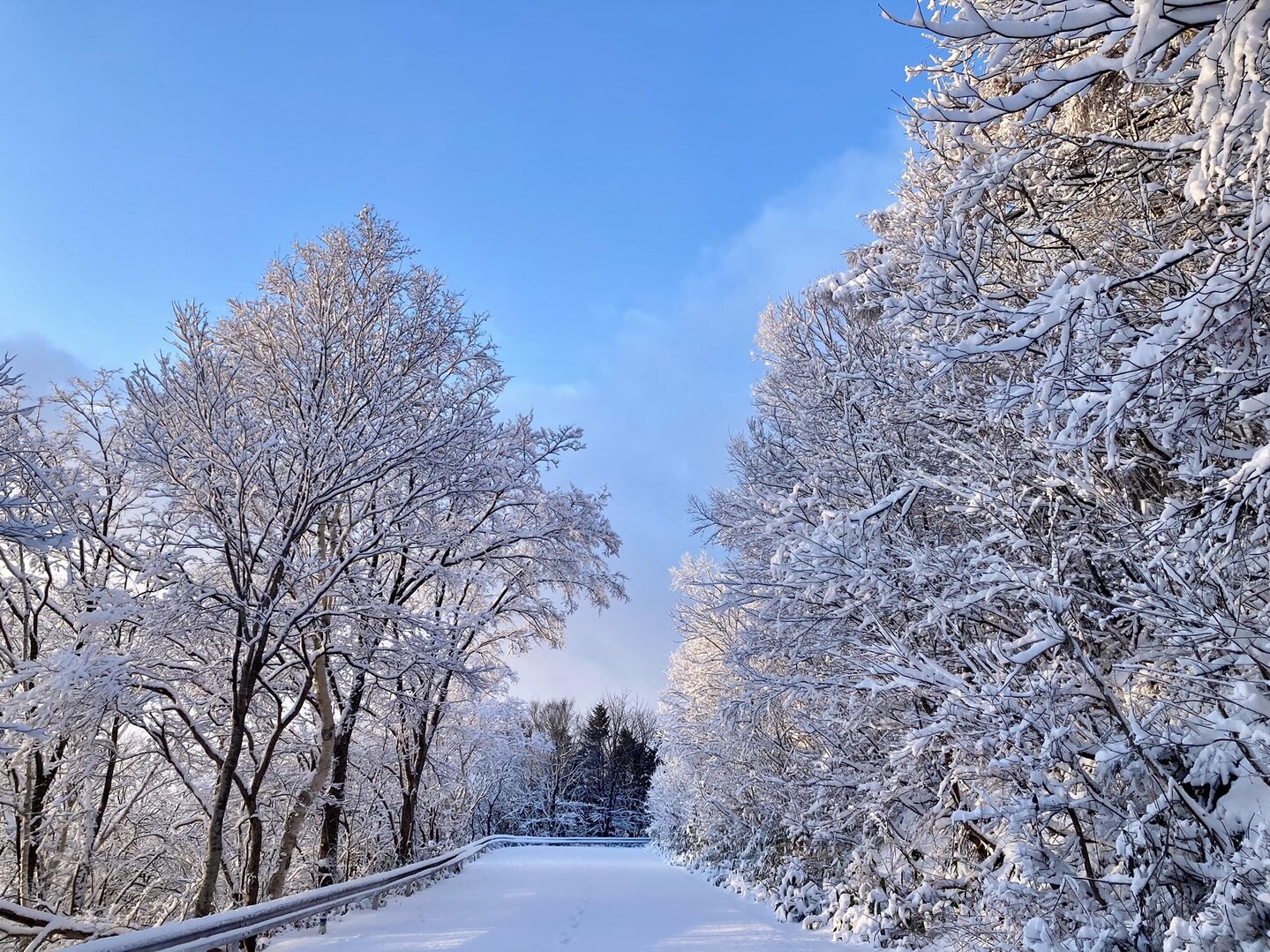 雪の藻岩山 ️ / 2525さんの藻岩山の活動データ | YAMAP / ヤマップ