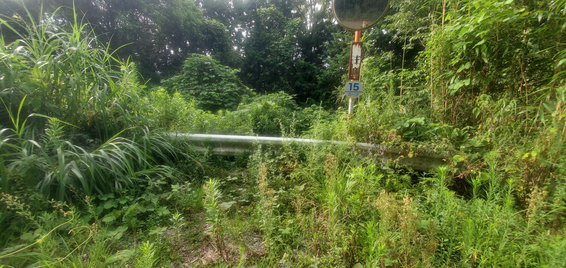 hirobonさんの投稿したフィールドメモ | YAMAP / ヤマップ