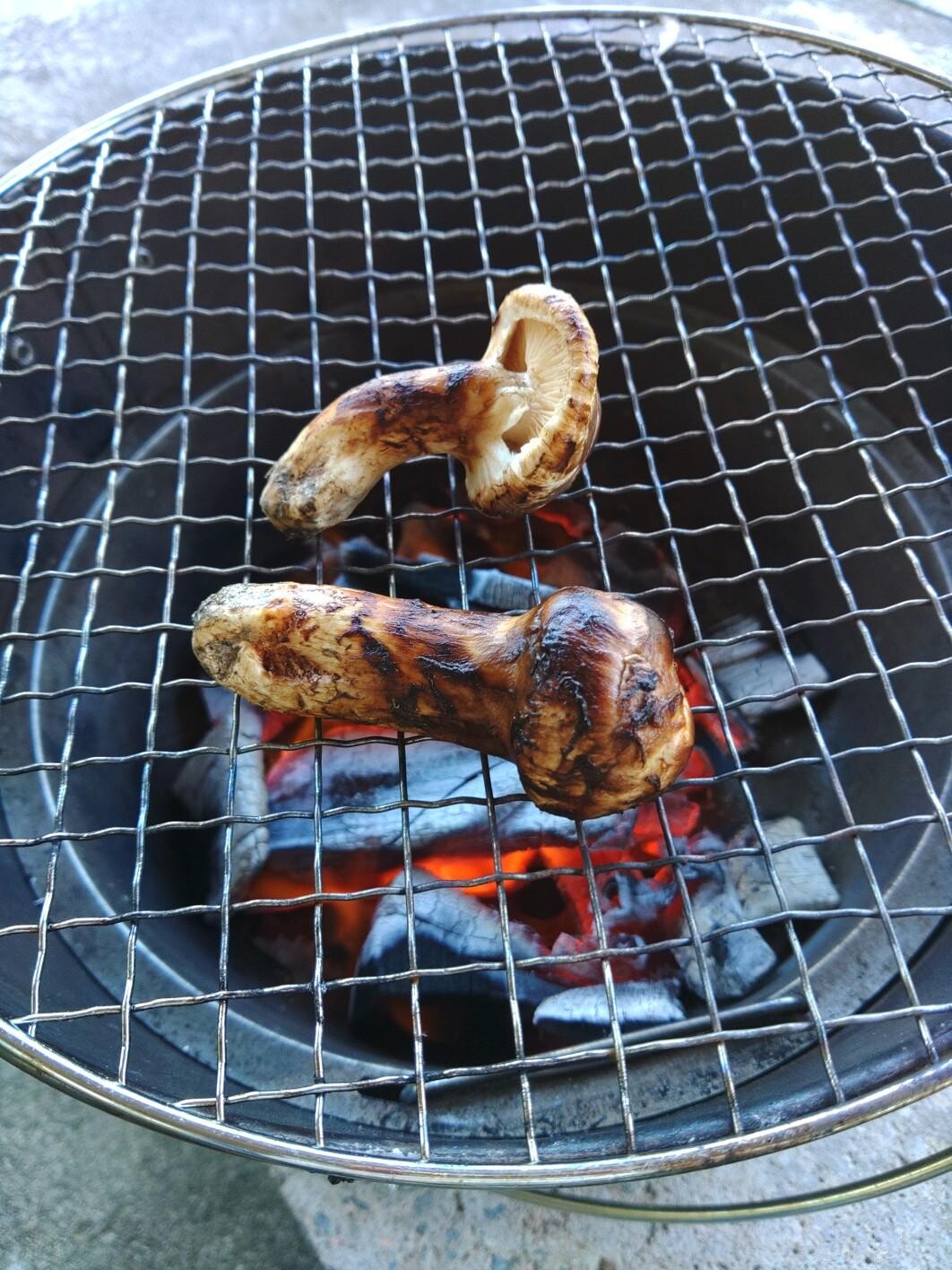 秋はもちろん岩手の松茸BBQでしょう🥳... / Daisuke Adachiさんのモーメント | YAMAP / ヤマップ