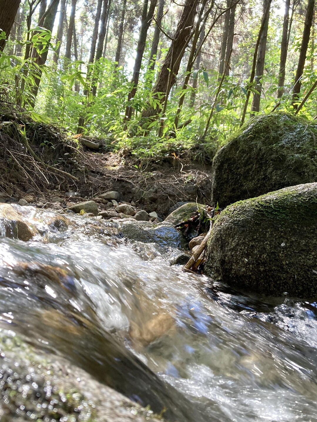 水音が聞きたくて・・・⛰ / wara2さんのモーメント | YAMAP / ヤマップ