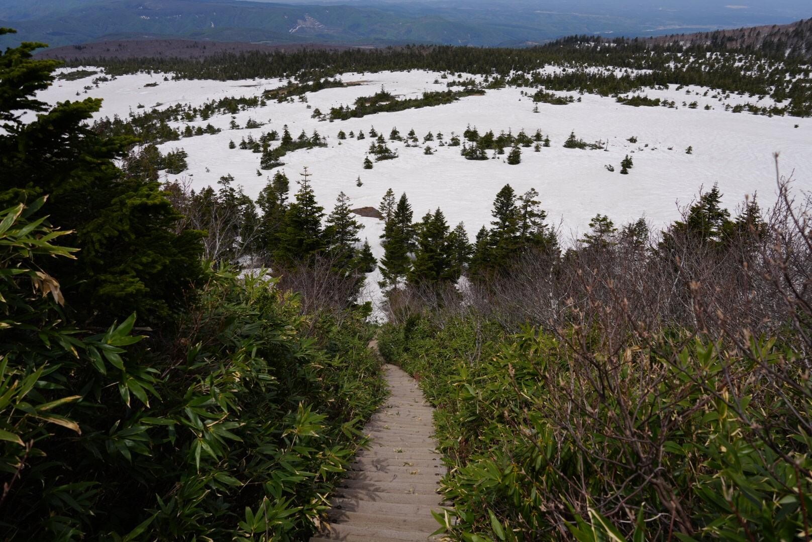 青森遠征 百名山ハシゴその1 八甲田山 63rd / ta2さんの八甲田山・高田大岳・雛岳の活動データ | YAMAP / ヤマップ