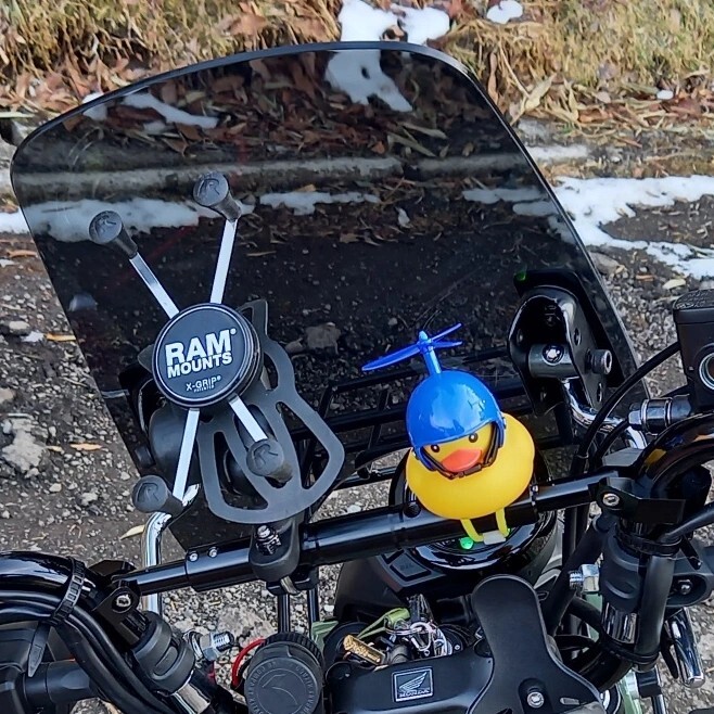 相棒のあひる隊長と100キロ程走って来ま... / 山好きなおじさんさんのモーメント | YAMAP / ヤマップ