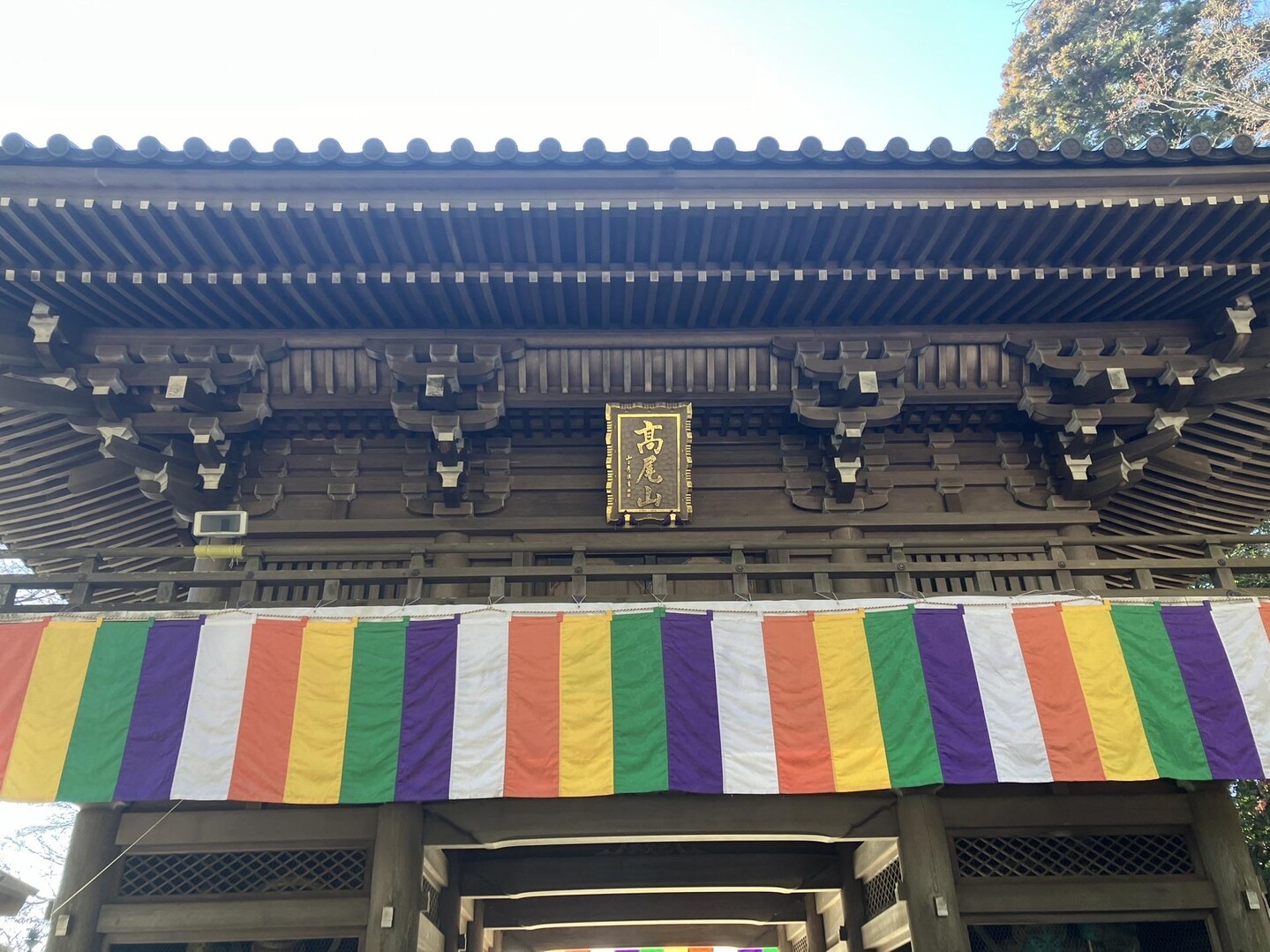 【2024-5】高尾山〜もみじ台（599m、東京都八王子市） / Kazu-Eさんの高尾山・陣馬山・景信山の活動データ | YAMAP / ヤマップ