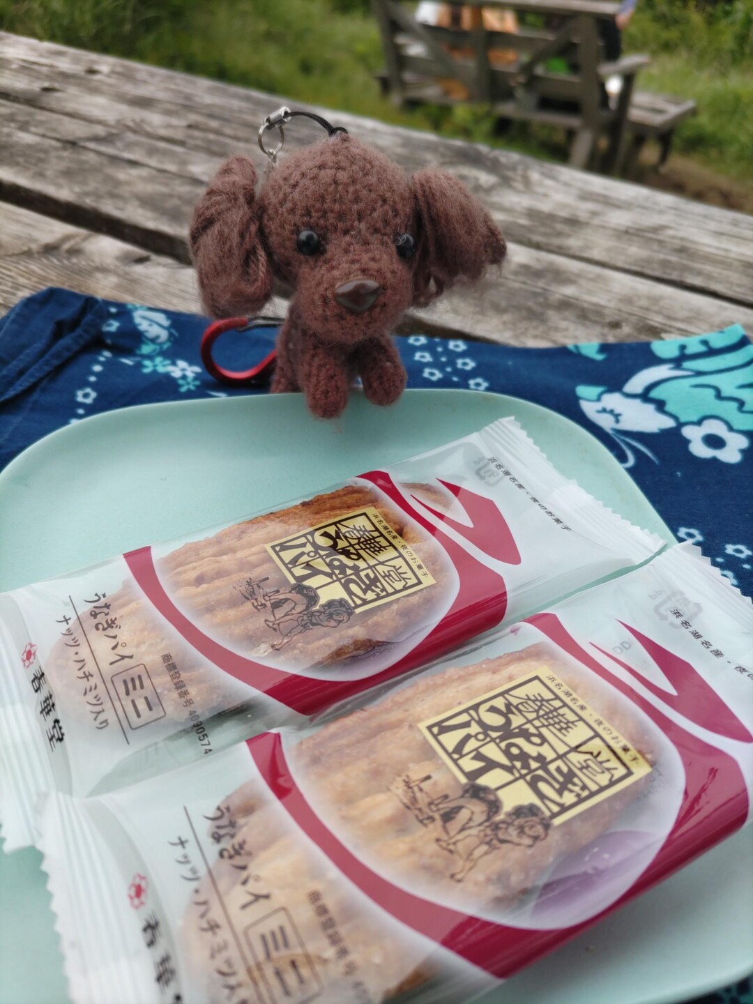 宝篋山で 山おやつ😋 「うなぎパイ ミ... / kayoさんのモーメント | YAMAP / ヤマップ